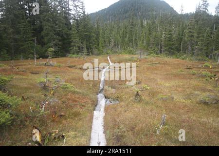 Juneau Alaska; city; nature; waterfront Stock Photo - Alamy