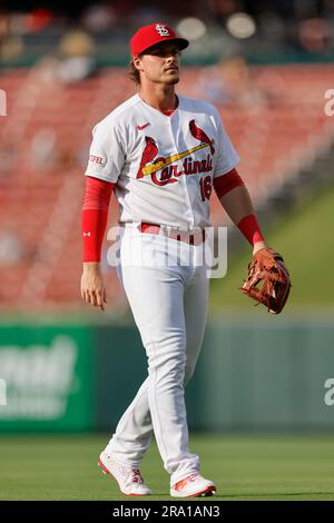 St. Louis Cardinals' Nolan Gorman watches his pop out with Milwaukee ...