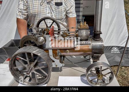 Steam Traction Engine scale model Stock Photo - Alamy