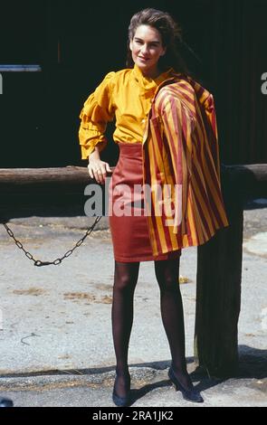 Constanze Wetzel, deutsche Schauspielerin, Portrait, circa 1991 Stock ...