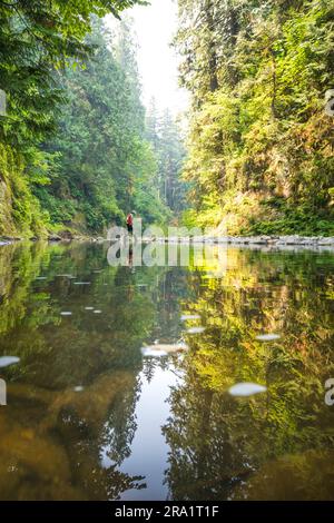Biologist conducts a stream survey Stock Photo - Alamy