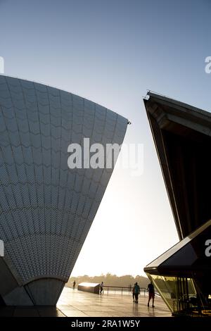 Close up of the Shells of the Sydney Opera House Stock Photo - Alamy