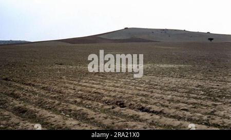 THE SPIRIT OF THE BEEHIVE (1973) -Original title: EL ESPIRITU DE LA ...