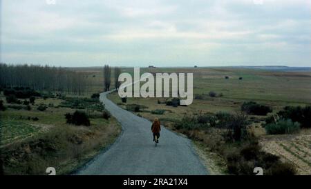 THE SPIRIT OF THE BEEHIVE (1973) -Original title: EL ESPIRITU DE LA ...