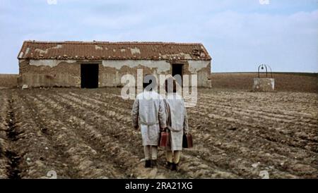 THE SPIRIT OF THE BEEHIVE (1973) -Original title: EL ESPIRITU DE LA ...
