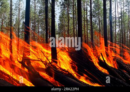 Devastating Wildfires Scorch California Landscape Under Intense Heat ...
