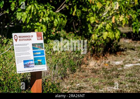 Sign displaying information on revegetation project, Lady Elliot Island ...