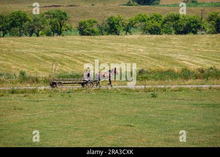 A horse carriage in the landscape of viscri Stock Photo - Alamy
