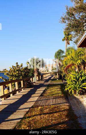 Beautiful sunny day and wooden paths for walking and running in Florida ...