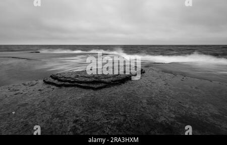A grayscale shot of Neptune's fields nature reserve in the north of the ...