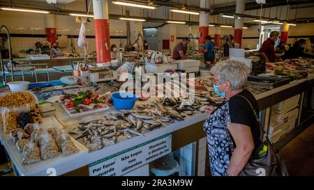 Costa Nova Fish Market, Aveiro, Portugal Stock Photo - Alamy