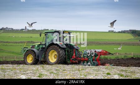Ploughing in grassland in preperation for reseeding, using a John Deere ...