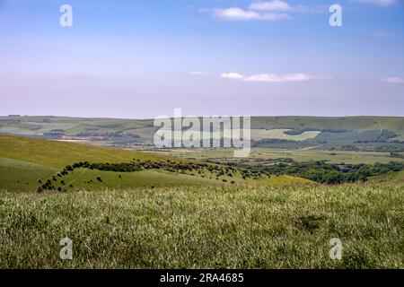 View of Malling Down nature reserve, East Sussex, England Stock Photo ...
