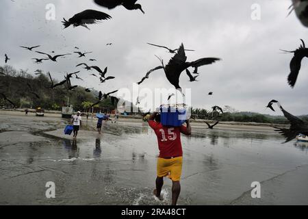 Fisherman walks carrying fish box Stock Photo - Alamy