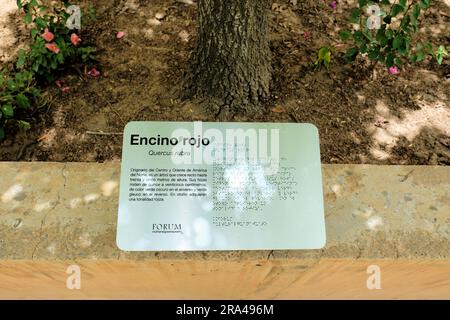 Latin botanical name plate and description in Chinese for Michelia ...