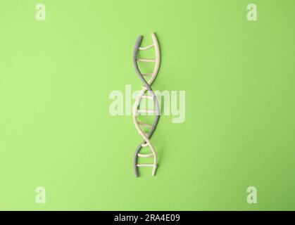 Plasticine model of DNA molecular chain on pink background, top view ...