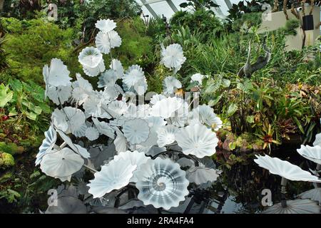 Ethereal White Persians sculpture by Dale Chihuly, Singapore Cloud Forest Stock Photo - Alamy
