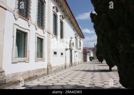 The Museum of Aveiro looking towards the cathedral Stock Photo - Alamy