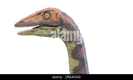 Archaeornithomimus dinosaur, illustration Stock Photo - Alamy
