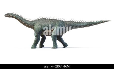 Barapasaurus dinosaur, illustration Stock Photo - Alamy