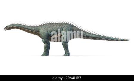 Barapasaurus dinosaur, illustration Stock Photo - Alamy