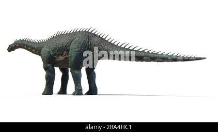 Barapasaurus dinosaur, illustration Stock Photo - Alamy