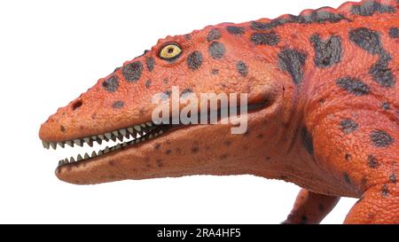 Eryops prehistoric amphibian, illustration Stock Photo - Alamy