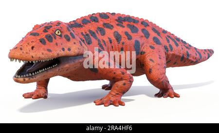 Eryops prehistoric amphibian, illustration Stock Photo - Alamy