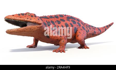 Eryops prehistoric amphibian, illustration Stock Photo - Alamy