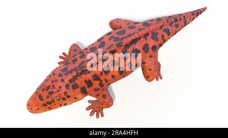 Eryops prehistoric amphibian, illustration Stock Photo - Alamy