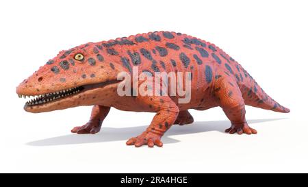 Eryops prehistoric amphibian, illustration Stock Photo - Alamy