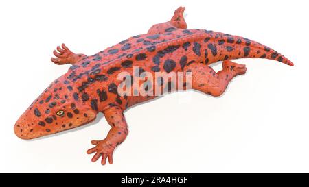 Eryops prehistoric amphibian, illustration Stock Photo - Alamy