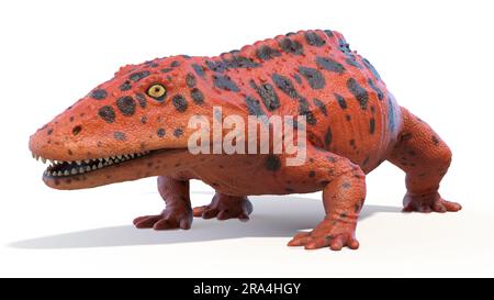 Eryops prehistoric amphibian, illustration Stock Photo - Alamy