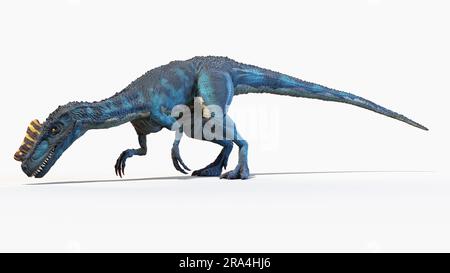 Proceratosaurus dinosaur, illustration Stock Photo - Alamy