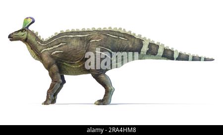 Tsintaosaurus dinosaur, illustration Stock Photo - Alamy