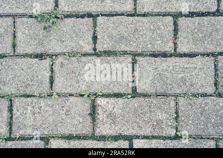 Paving slabs. Seamless textures, amenable to stacking, close-up rows ...