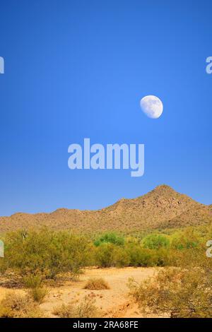 The Vast Sonora desert with moon rising over San Tan mountains in ...