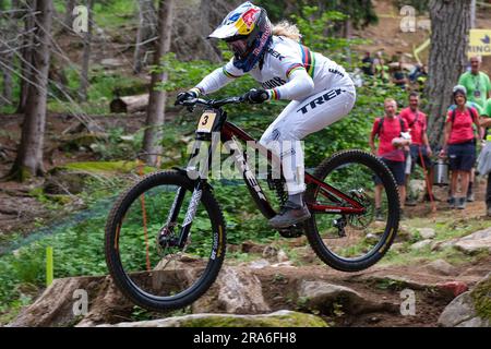 Valentina Holl (AUT) in action during DH Elite Women race, at UCI MTB ...