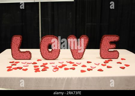 Artwork by Jonathan Lopes Lego convention Raleigh North Carolina Stock ...
