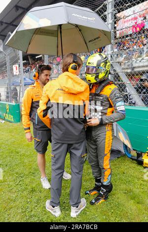 The helmet of Lando Norris (GBR) McLaren. 09.12.2025. Formula 1 Testing ...
