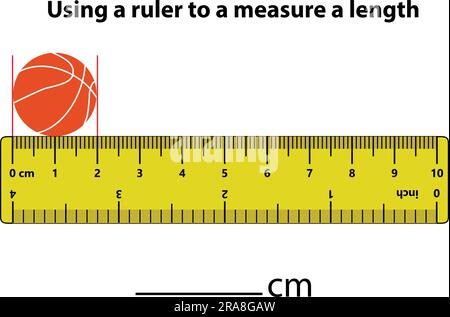 Measuring object with ruler. Education developing worksheet. Game for ...