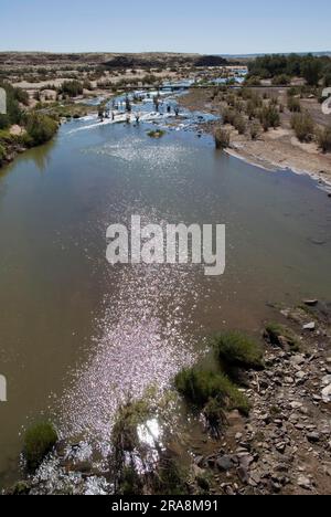 River fish, Seeheim, Namibia Stock Photo - Alamy