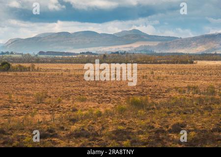 Elevated view of Flander's Moss nature reserve Stock Photo - Alamy