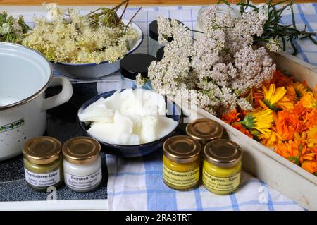 Meadowsweet ointment, marigold ointment and yarrow ointment ...