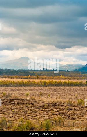 Elevated view of Flander's Moss nature reserve Stock Photo - Alamy