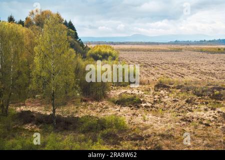 Elevated view of Flander's Moss nature reserve. Flander's Moss is a ...