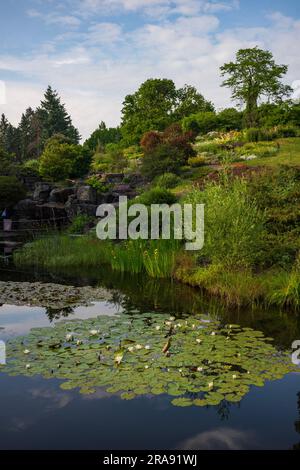 Botanisk hage is Oslo, Norway's oldest botanical garden, a free oasis ...
