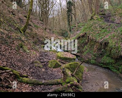 The ford over Dean Clough in Dean Wood, Netherton, Huddersfield Stock ...