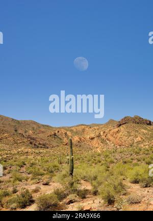 Moon rise Along the Apache trail Sonora desert Arizona mountains and ...