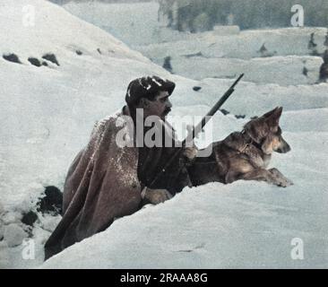 German soldier with his dog, WW1 Stock Photo - Alamy